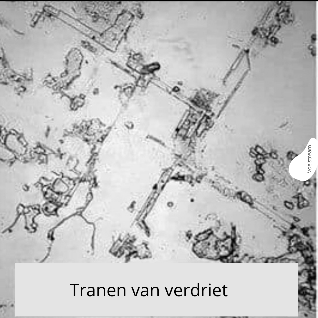 De functie van tranen, een uniek systeem - Voelstream