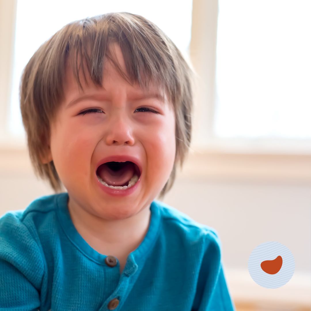 De functie van tranen, een uniek systeem - Voelstream